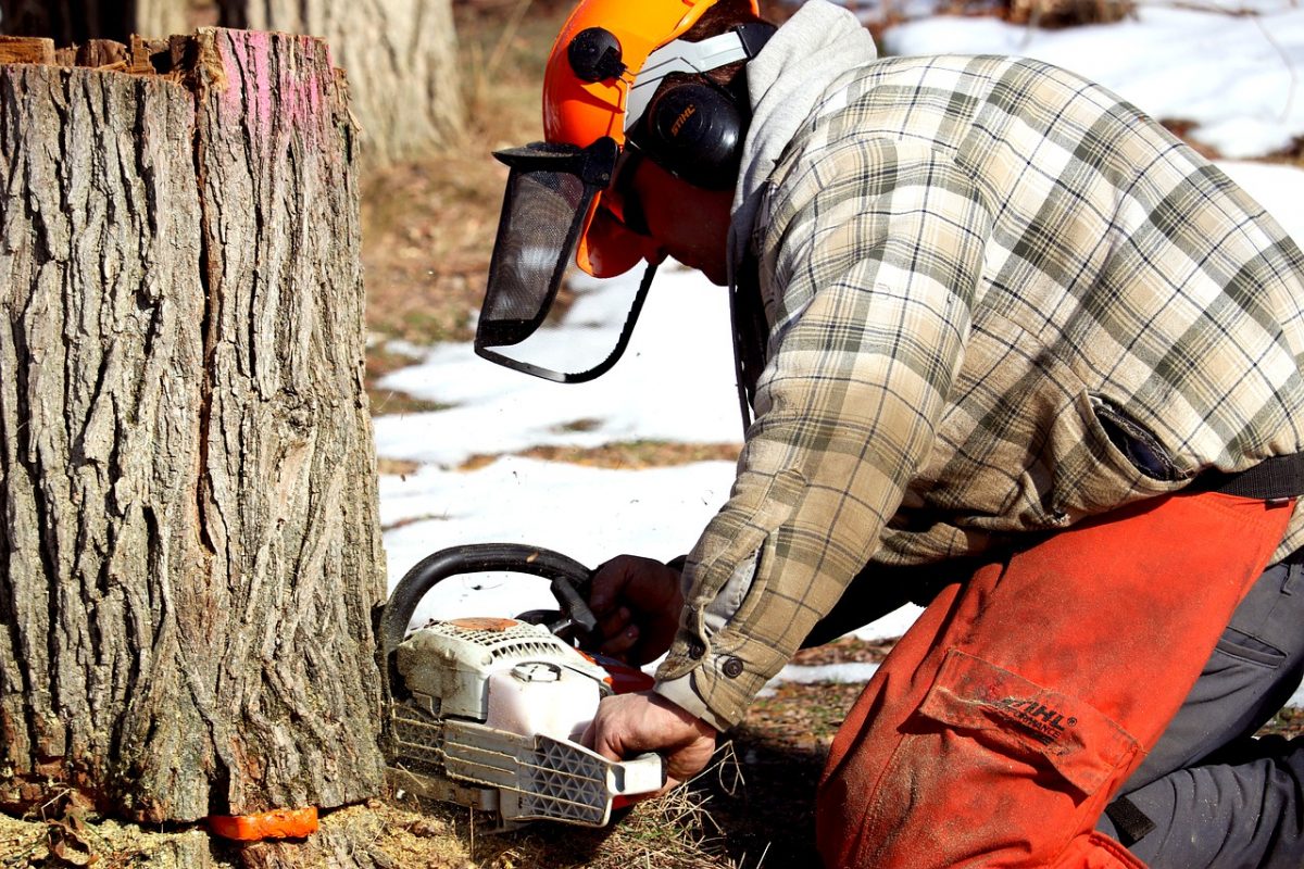 Lumberjack Events | Canadian Lumberjack